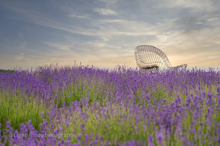 Lavender Retreat - Downtown Worcester