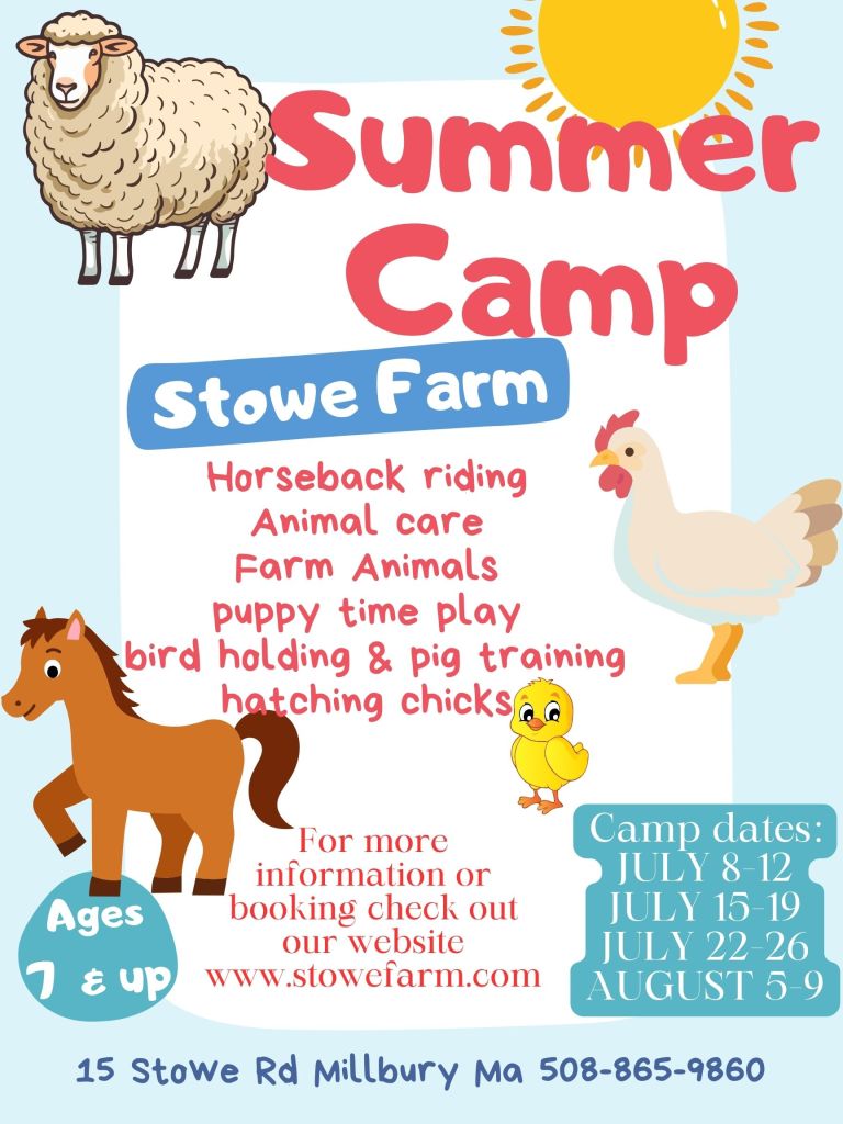 Summer Camp at Stowe Farm - Downtown Worcester